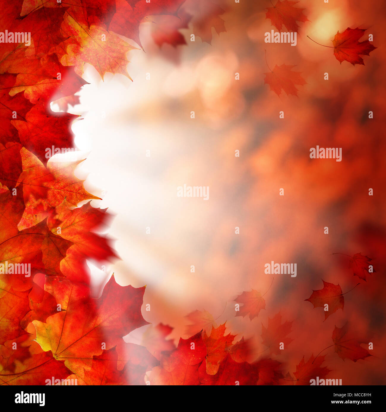 Autumn Leaves on Fall Background Stock Photo - Alamy