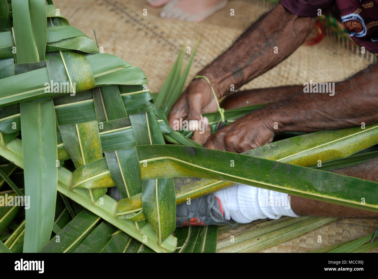 Fijian man creates a basket from weaving a Coconut Palm leaves, Pacific ...