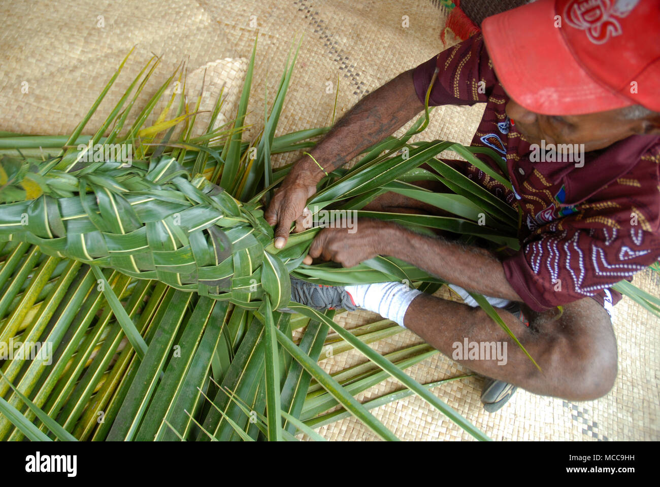 Fijian man creates a basket from weaving a Coconut Palm leaves, Pacific ...
