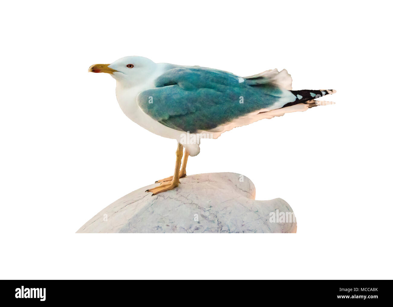 Side view shot Cut Out Stock Images & Pictures - Alamy