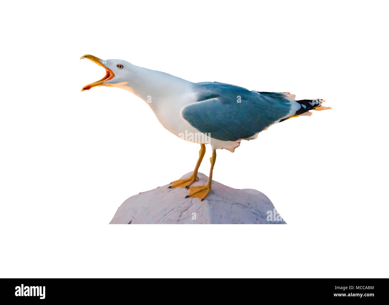 Mouth open side view Cut Out Stock Images & Pictures - Alamy