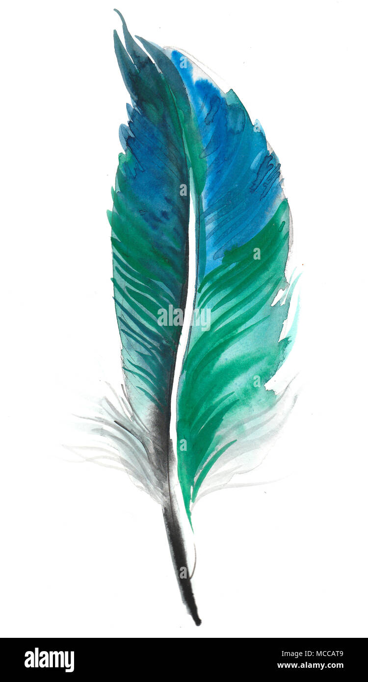 Green and blue feather Cut Out Stock Images & Pictures - Alamy