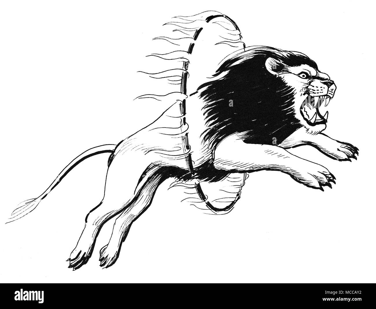 Burning lion hi-res stock photography and images - Alamy