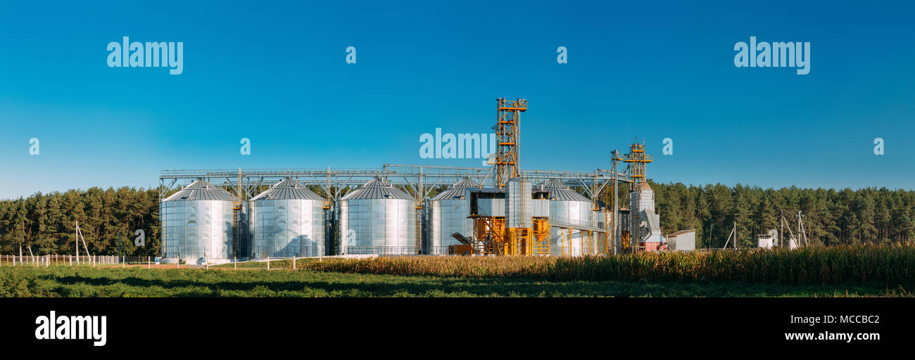 Modern Granary, Grain-drying Complex, Commercial Grain Or Seed Silos In ...