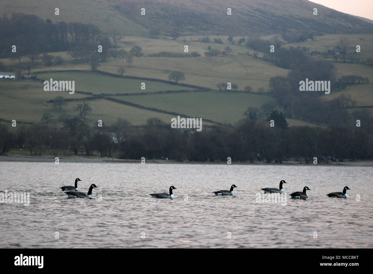 Walk on Aran mountain range, Bala Stock Photo - Alamy