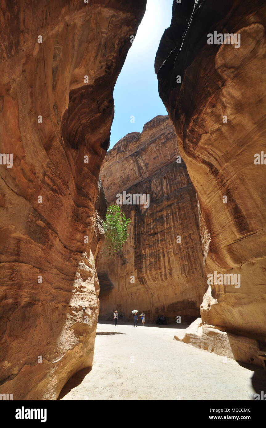 Ancient Rock carvings at Petra, Jordan Stock Photo - Alamy
