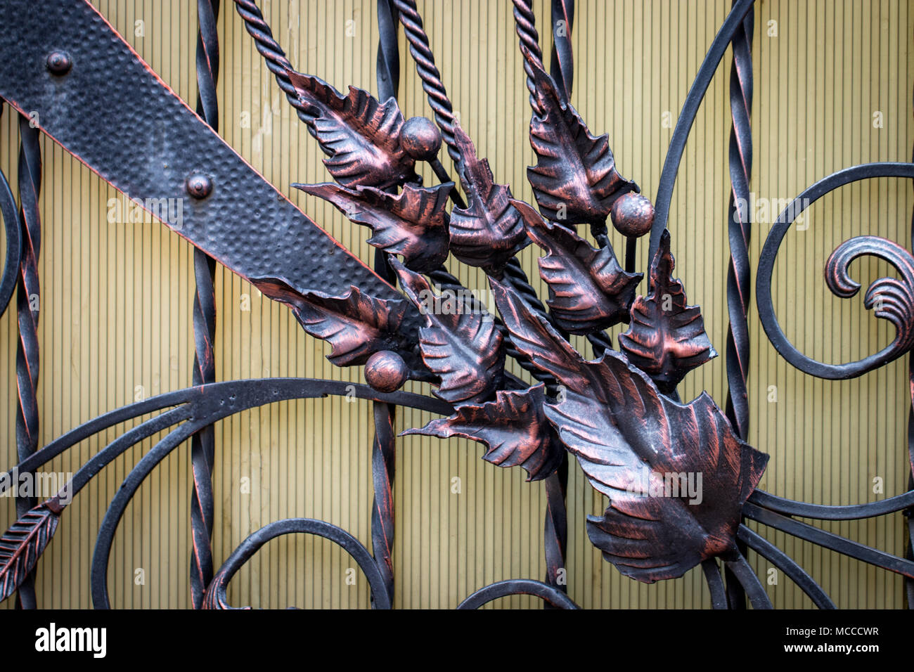 decorative parts of metal gates, elements of hand forging Stock Photo ...