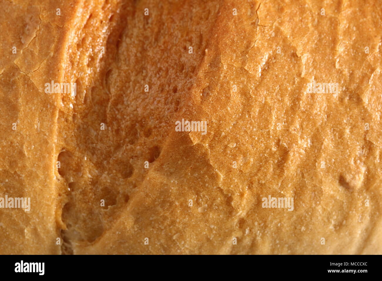 Fresh cracked bread with a crunchy crust to one of the best delicacies ...