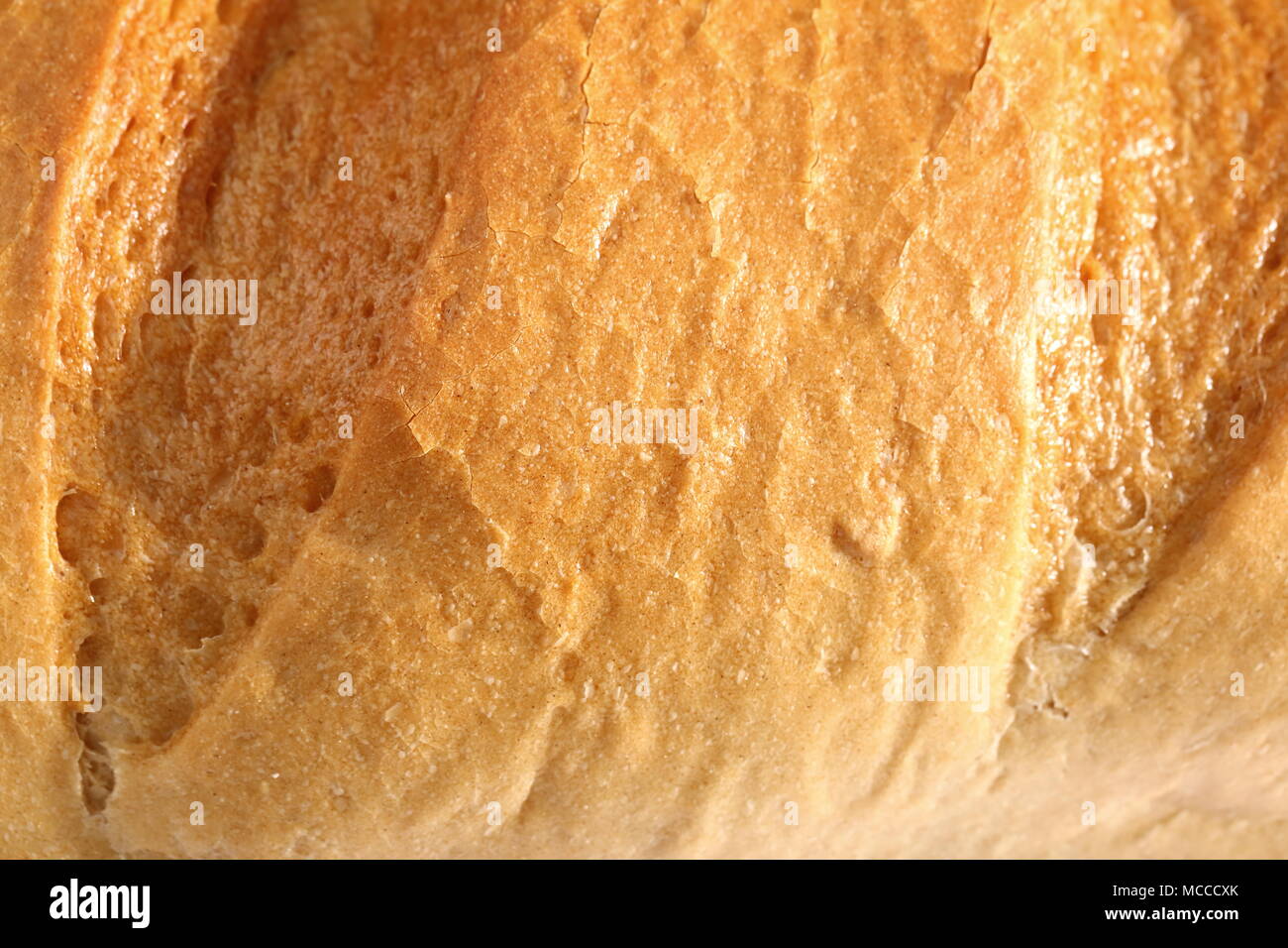 Fresh cracked bread with a crunchy crust to one of the best delicacies ...