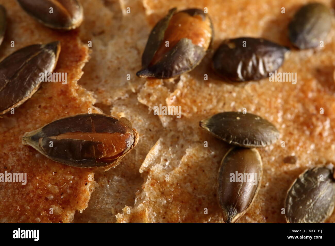 Bread sprinkled with pumpkin seeds is a delicacy for those who like to ...