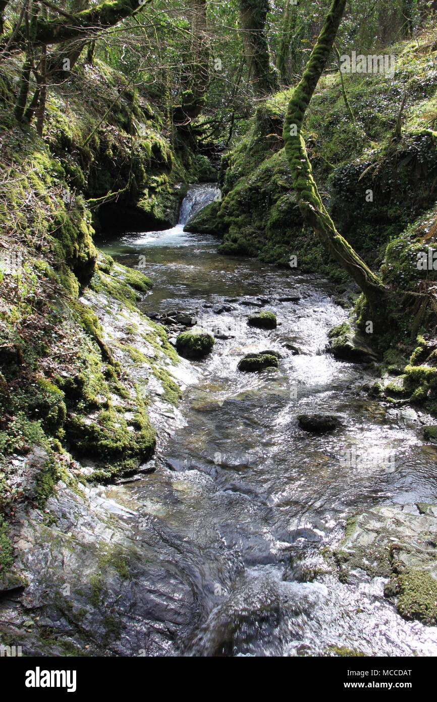 River Lyd flowing through Lydford Gorge, Dartmoor National Park, Devon ...