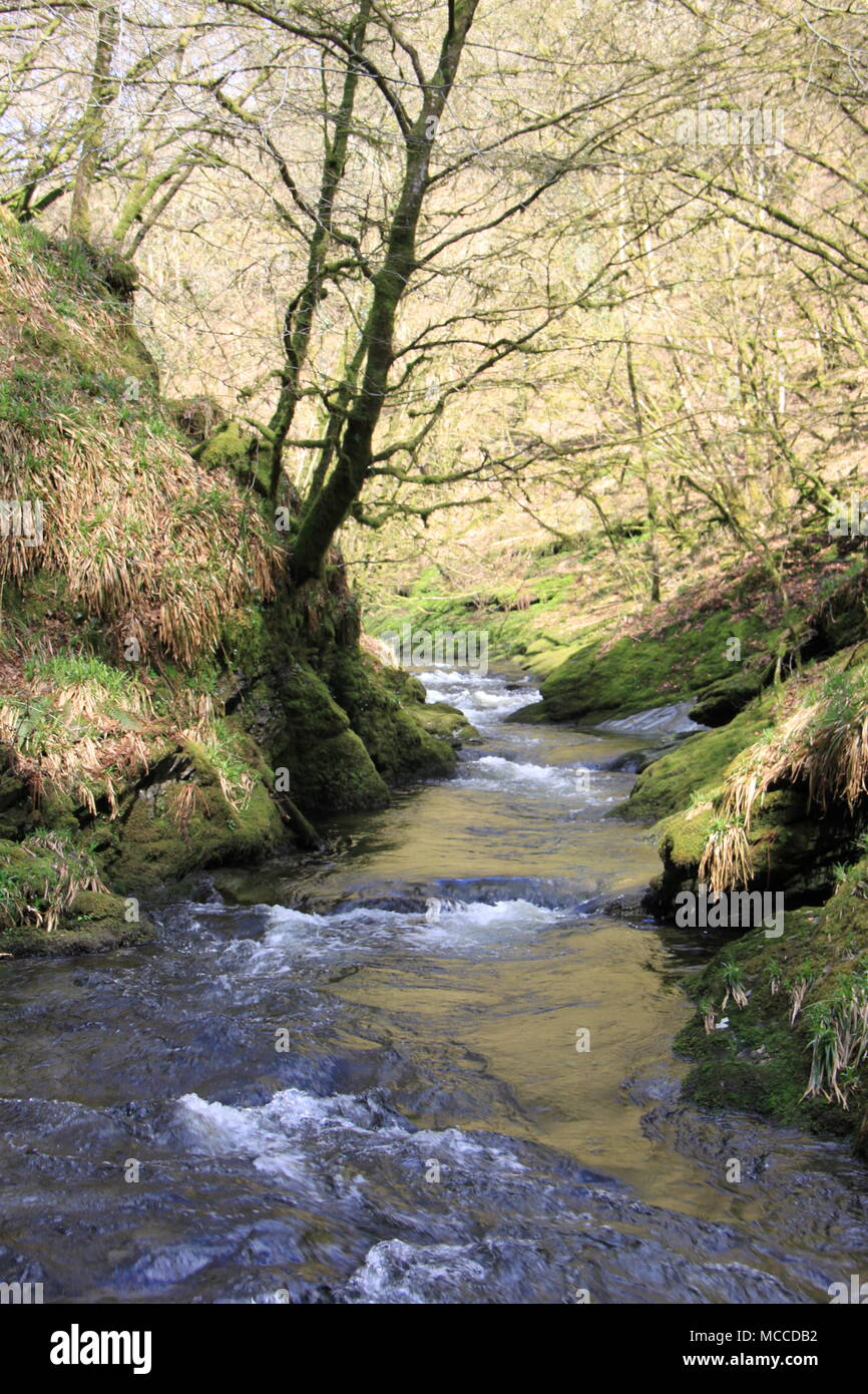 River Lyd flowing through Lydford Gorge, Dartmoor National Park, Devon ...