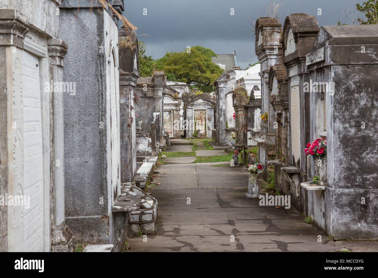 Lafayette Cemetery #1 in New Orleans, Louisiana, USA. Pathway between ...