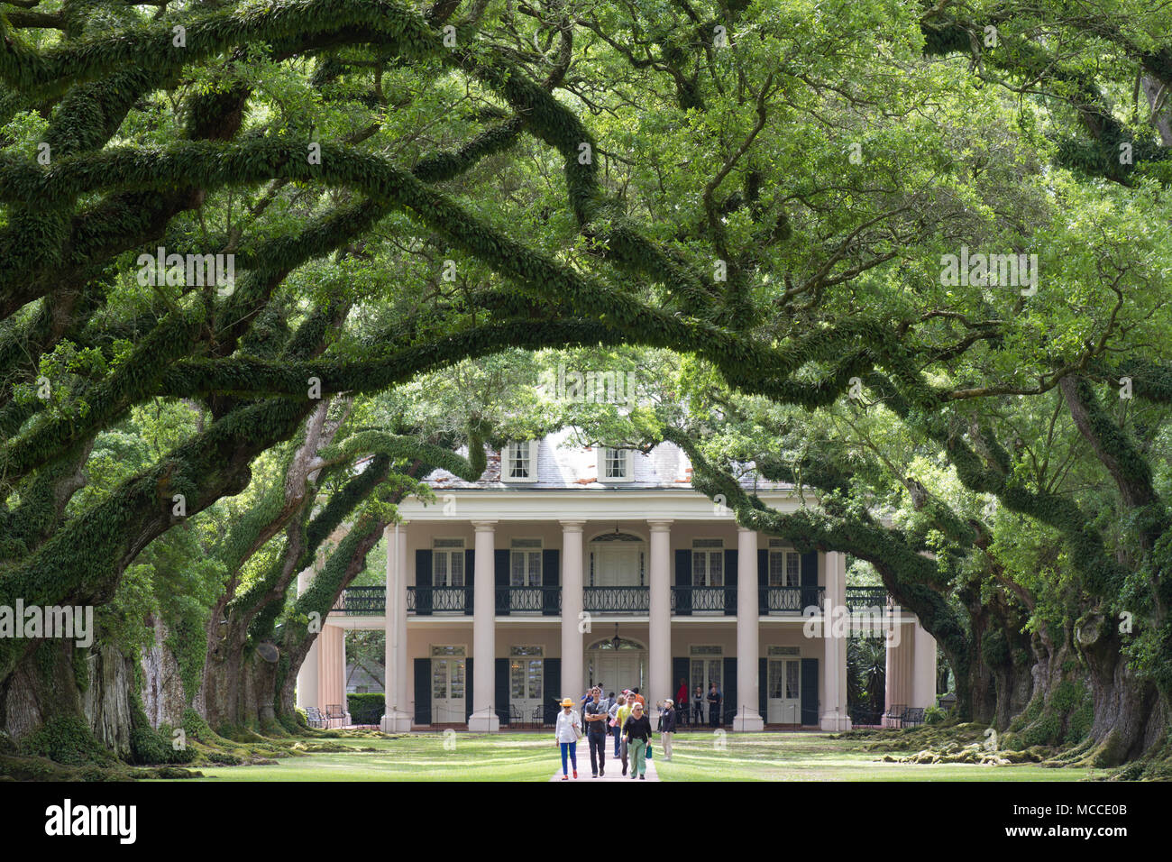 Oak Alley Plantation, Vacherie, St. James Parish, Louisiana, United ...