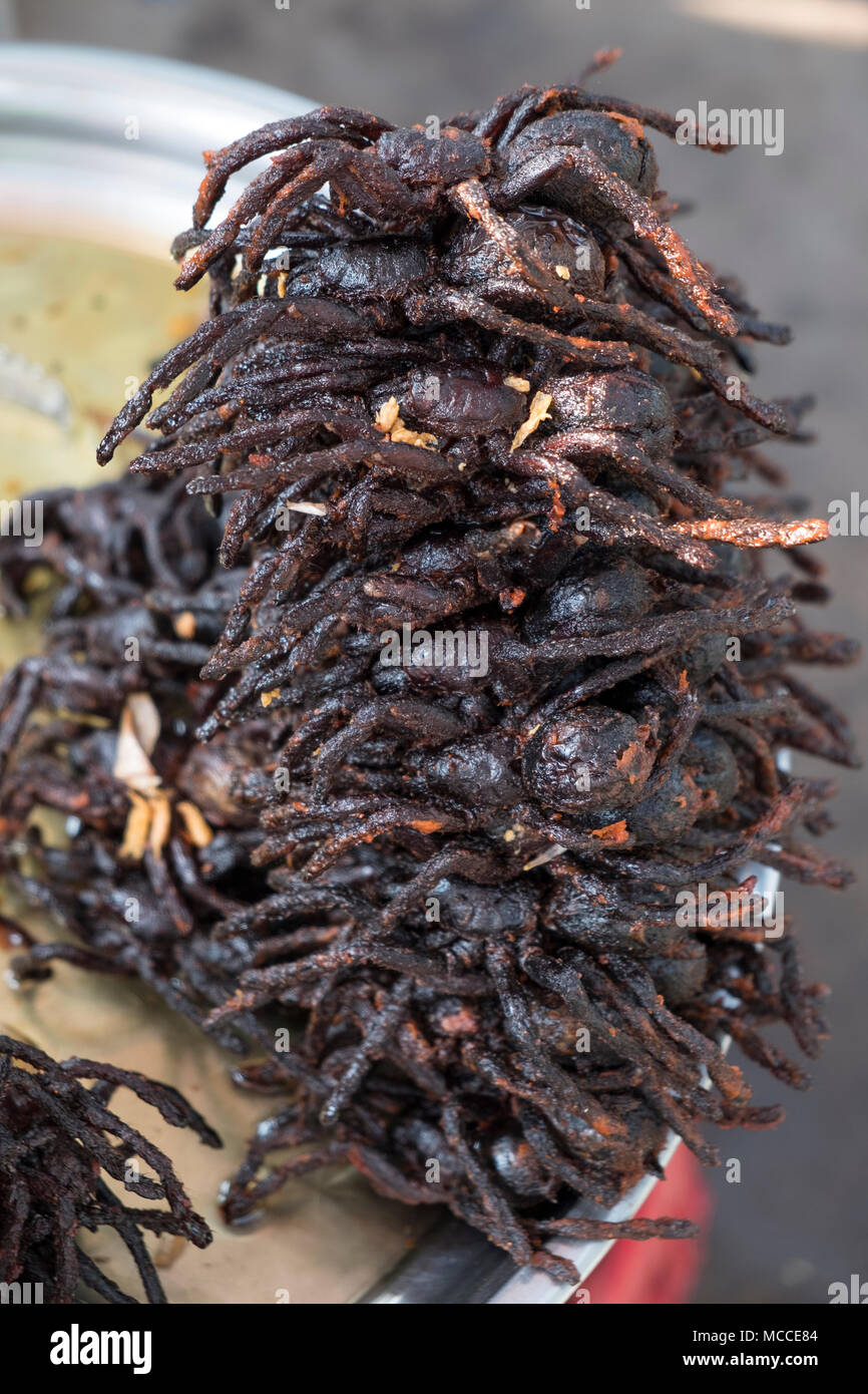 Deep fried spiders sale cambodia hi-res stock photography and images ...