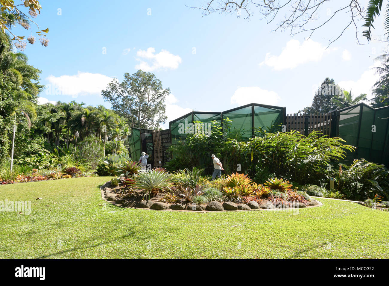 Cairns botanic gardens, hi-res stock photography and images - Alamy