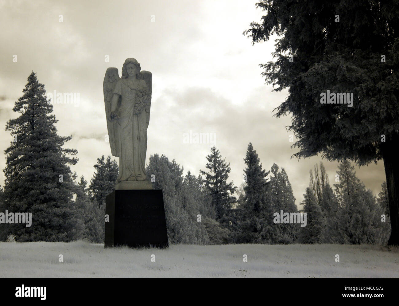 Statue of angel on the lawn at a cemetery in North Seattle, Washington ...