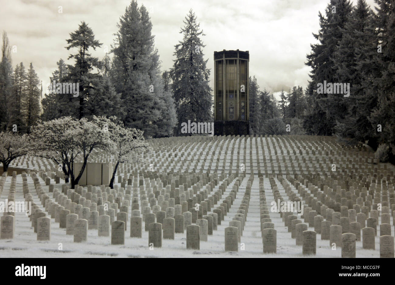 Veterans Memorial Cemetery in North Seattle, Washington Stock Photo - Alamy
