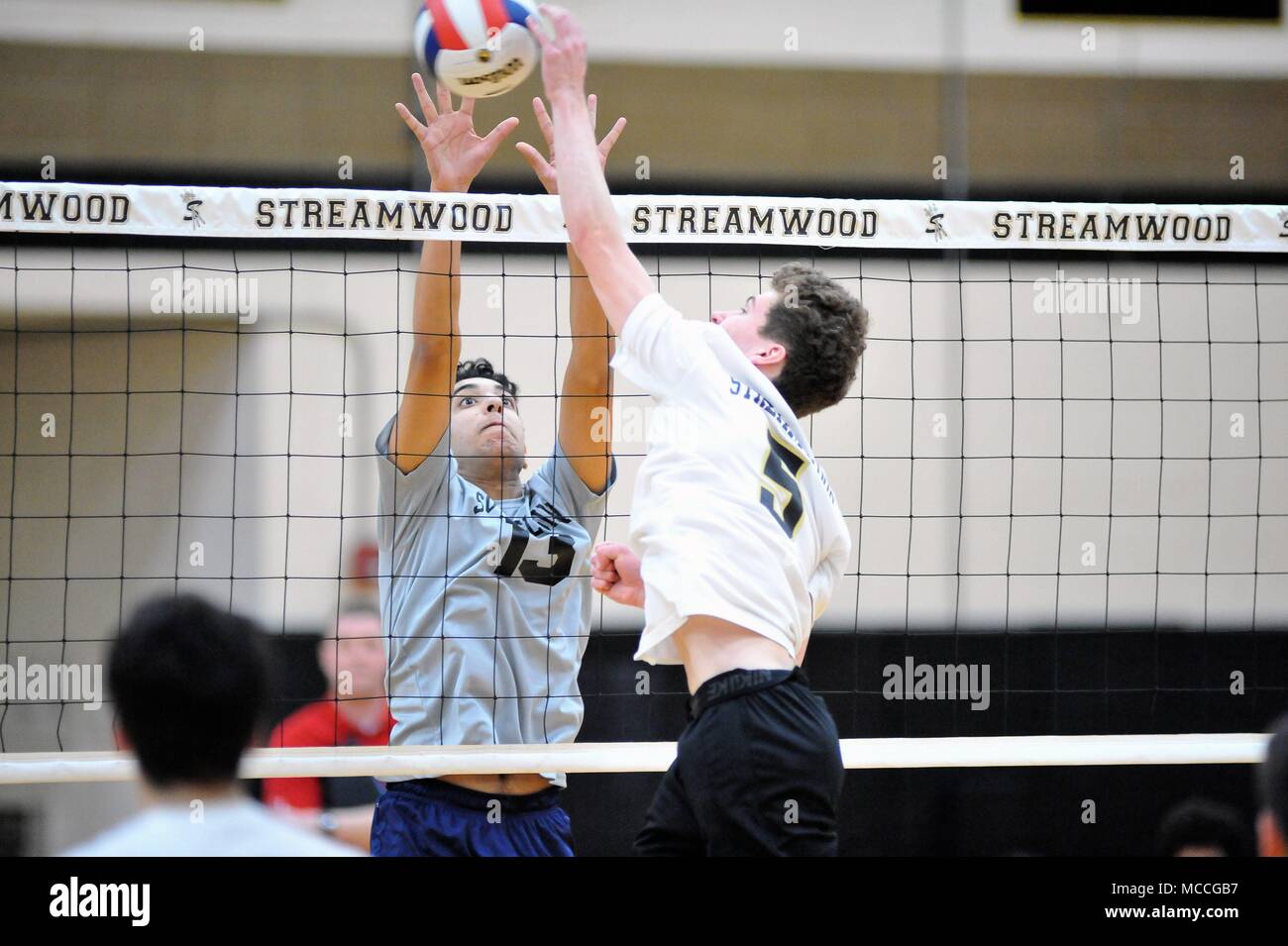 Volleyball players gym hi-res stock photography and images - Alamy