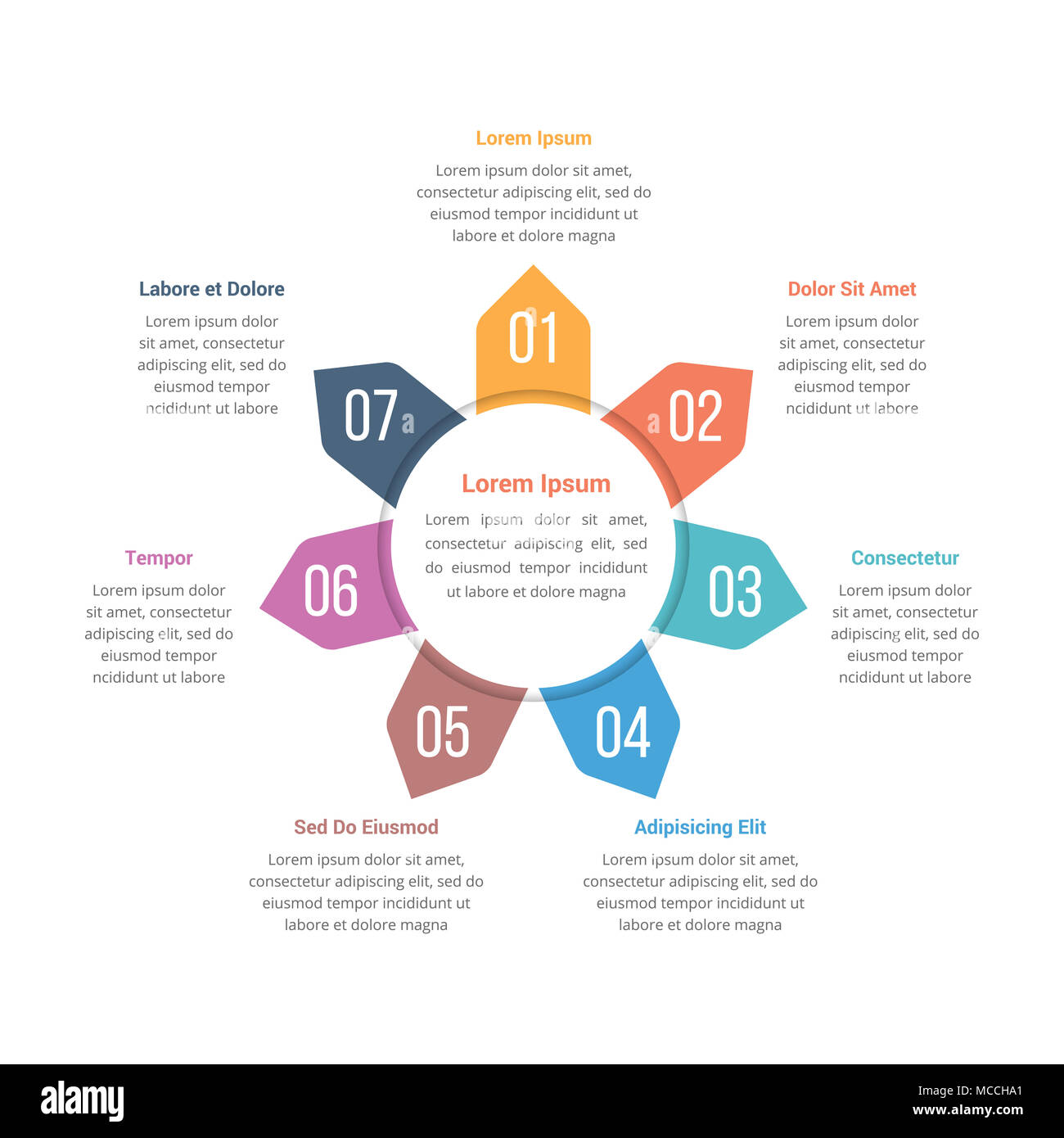 Infographic Circle Psd