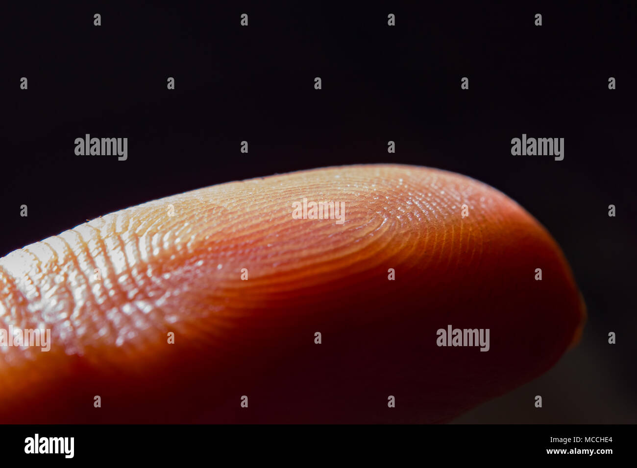 macro closeup view of finger print Stock Photo - Alamy