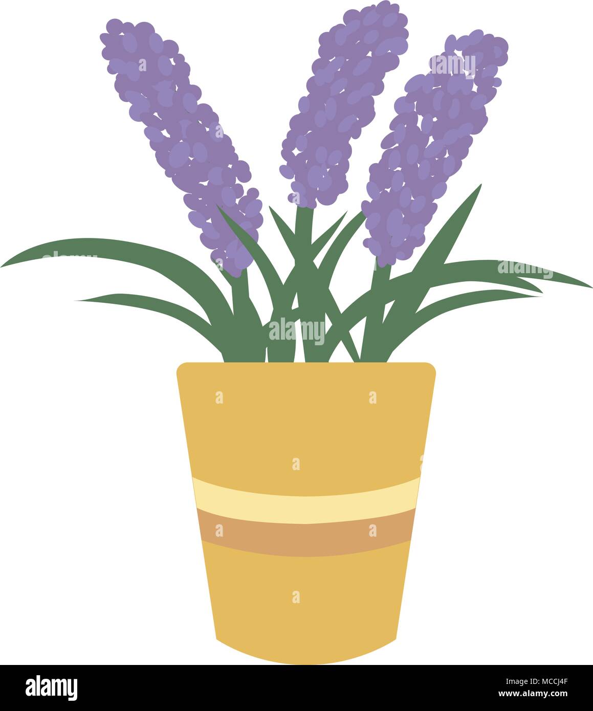 Lavender garden france Stock Vector Images - Alamy