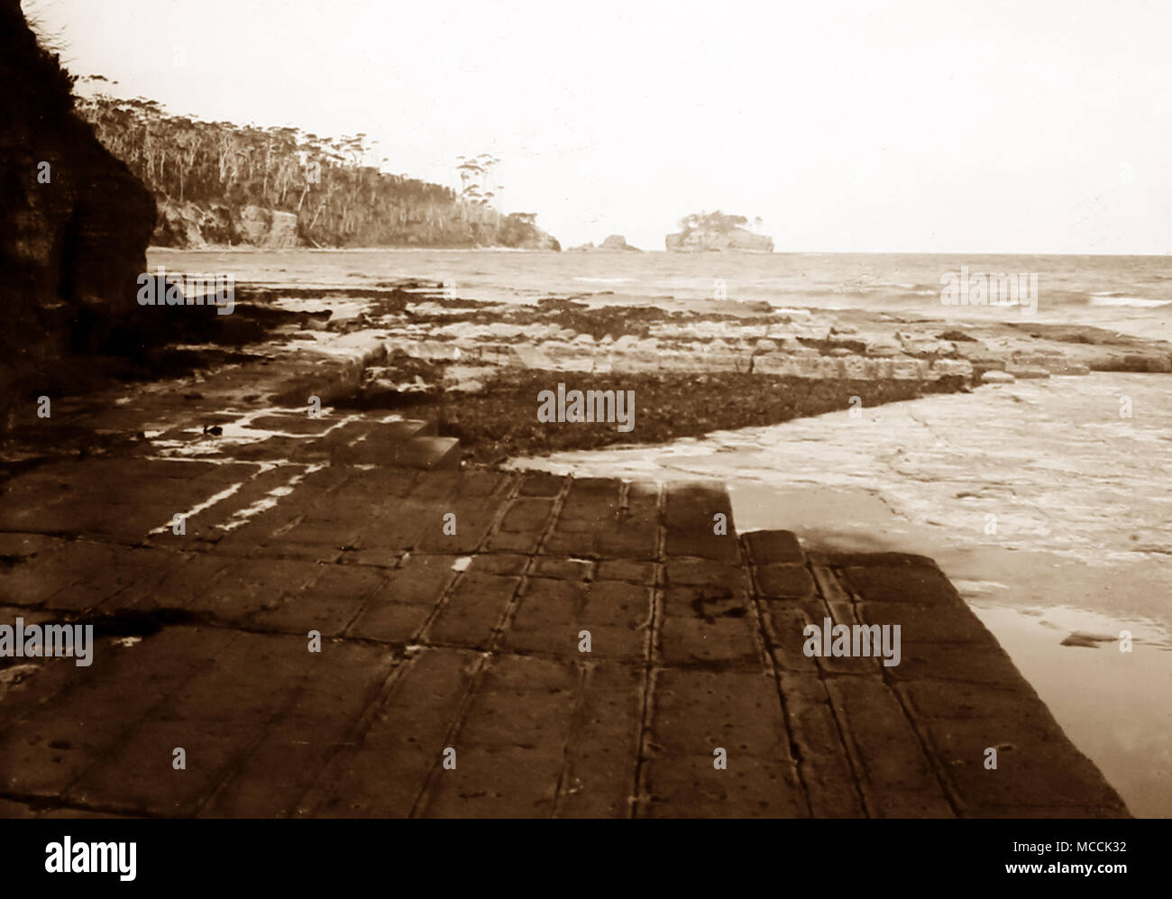 Tessellated Pavement, Tasmania, Victorian period Stock Photo - Alamy