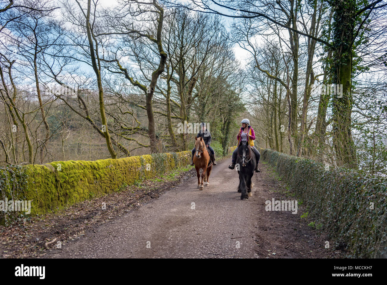 Pony trekking at Rivington Stock Photo - Alamy
