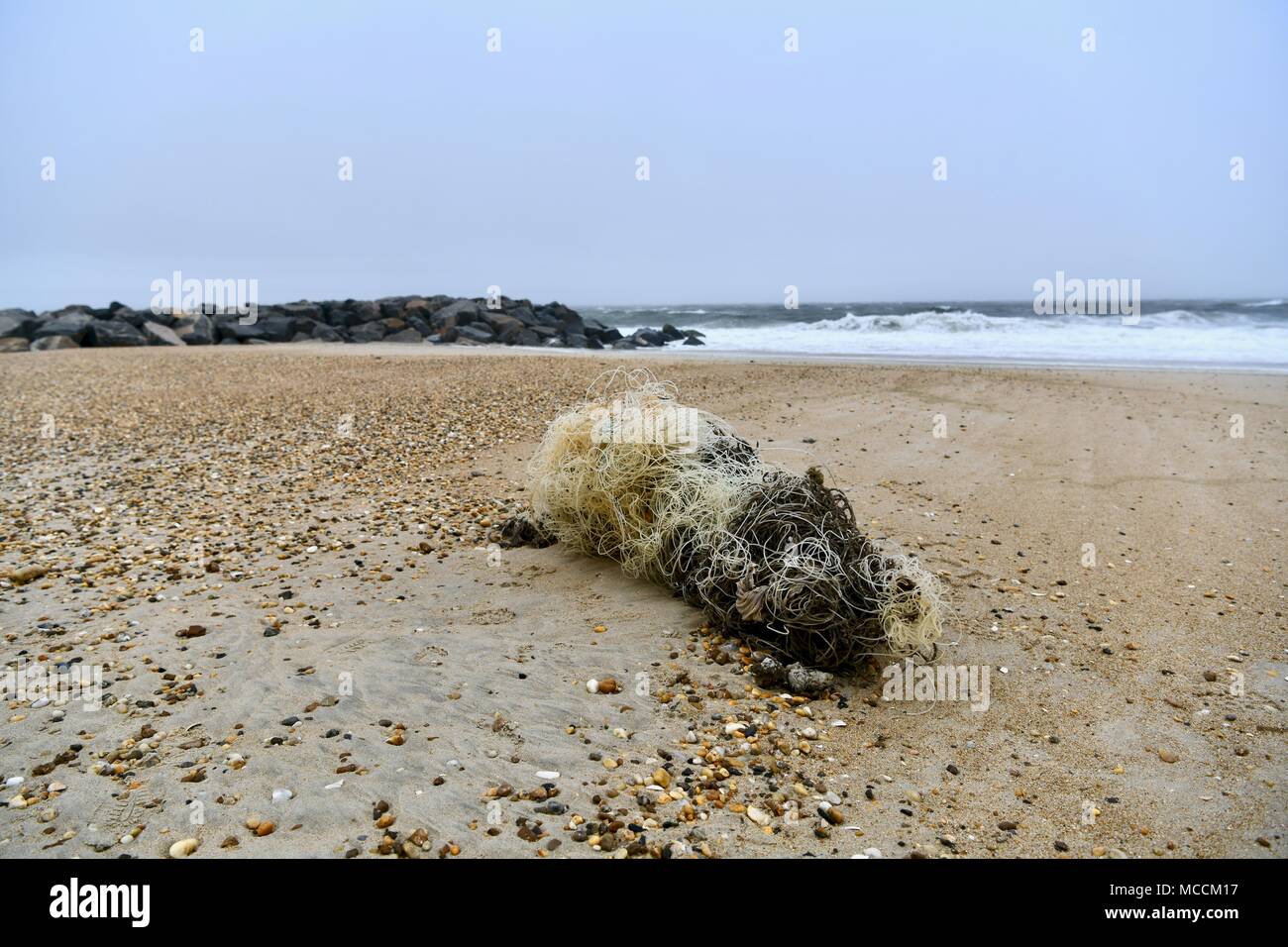 Ruining our wildlife hi-res stock photography and images - Alamy