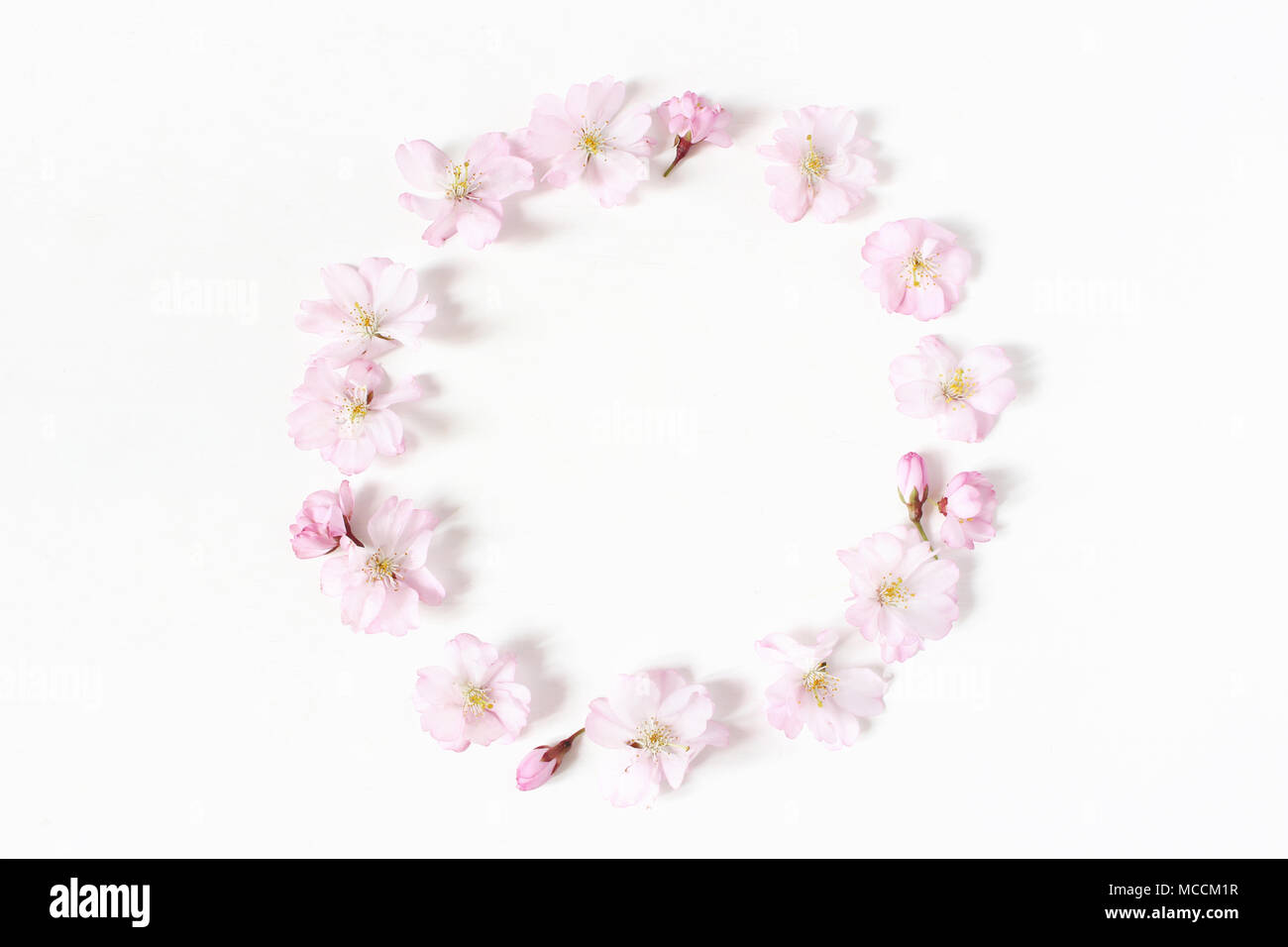 Spring hanami Cut Out Stock Images & Pictures - Alamy