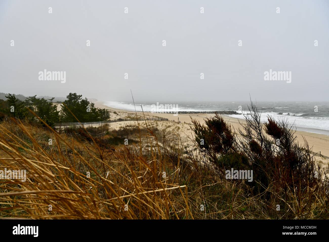 Foggy beach landscape in northern Delaware, USA Stock Photo - Alamy