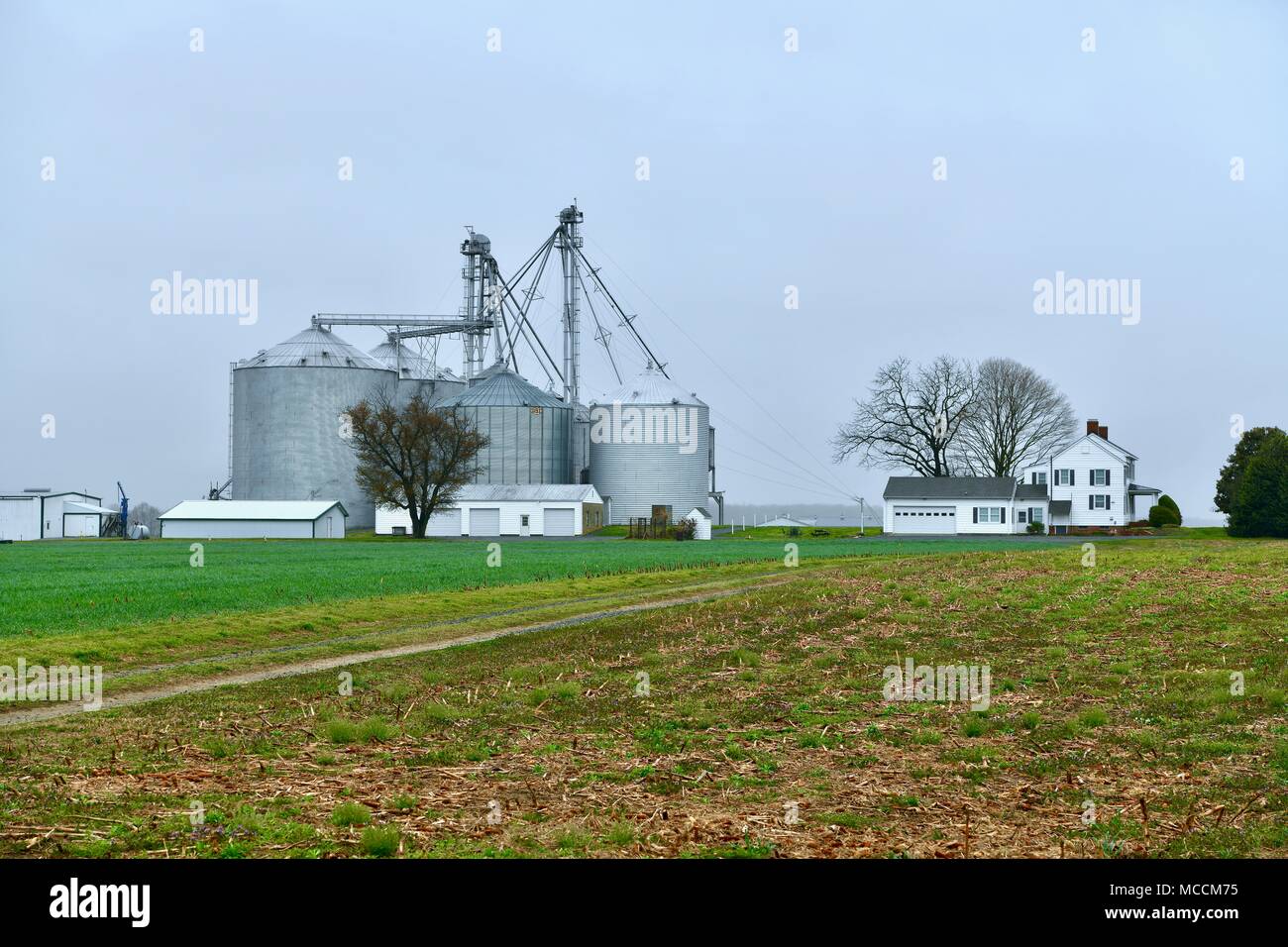 Large silos on a farm in Maryland, USA Stock Photo - Alamy