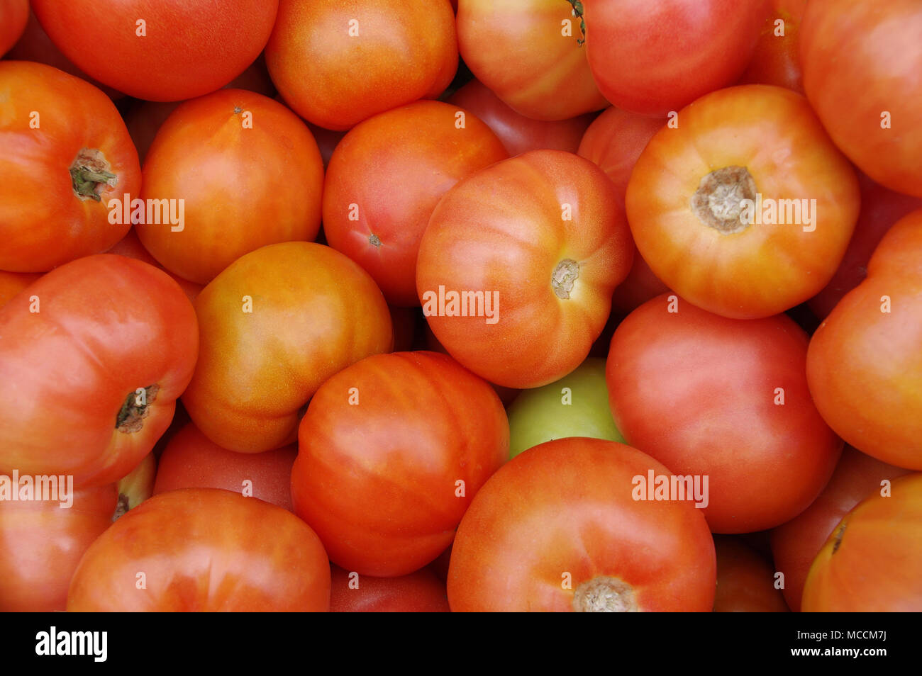 Tomato pile tomato stack tomato group tomatoes hi-res stock photography ...