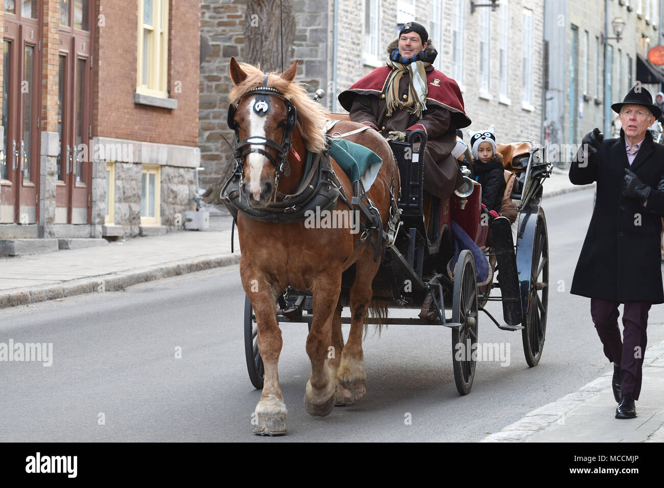 Enjoying a horse-drawn carriage ride in Old Quebec City Stock Photo - Alamy