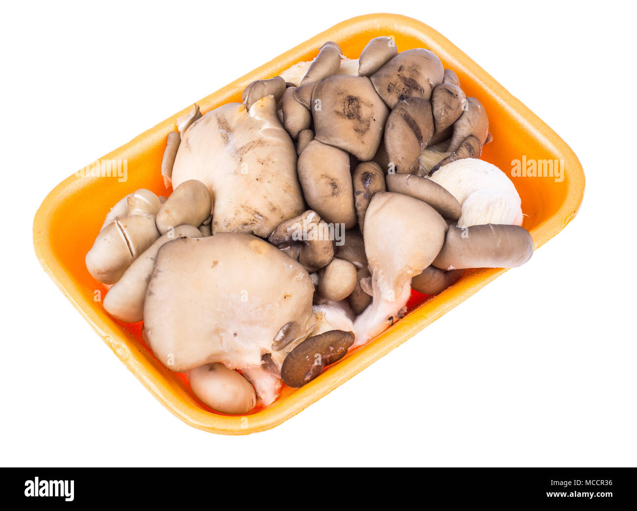 Packaged mushrooms Cut Out Stock Images & Pictures - Alamy