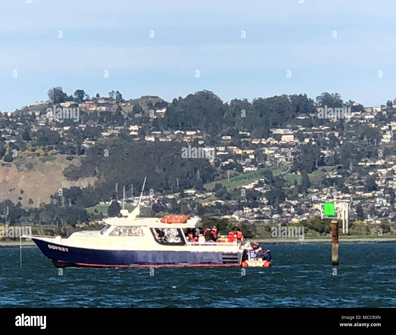 Foot of osprey hi-res stock photography and images - Alamy