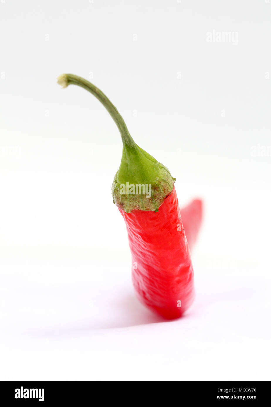 picture of a red hot chilli pepper, food concept Stock Photo - Alamy