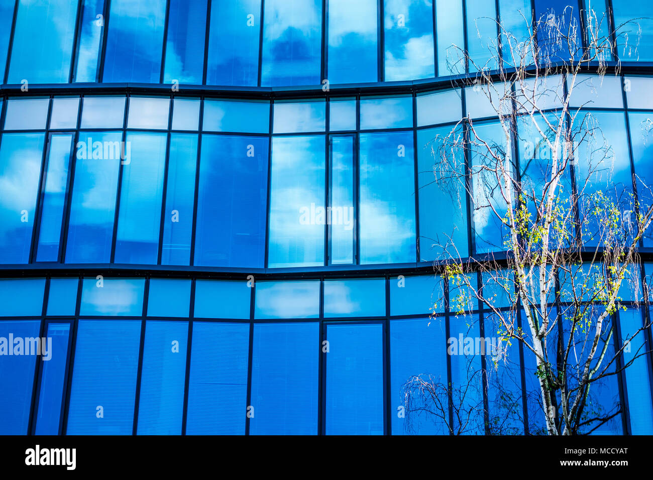 Modern windows mosaic in contemporary modular facade system with birch ...