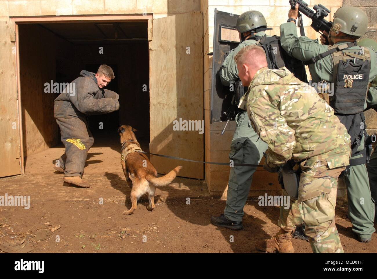 The 520th Military Working Dog Detachment and Honolulu Police ...