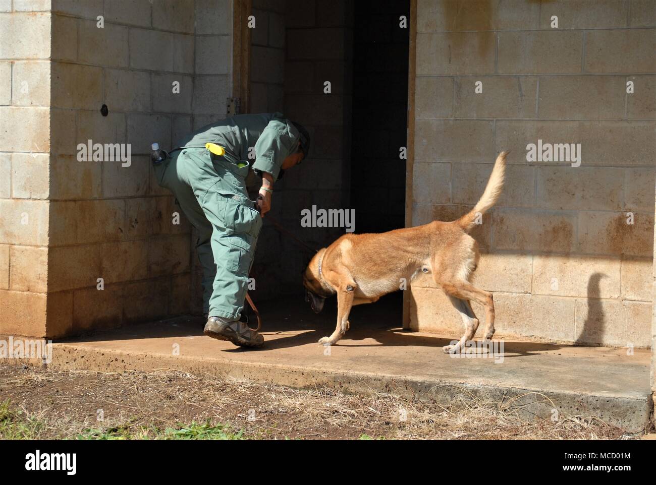 The 520th Military Working Dog Detachment and Honolulu Police ...