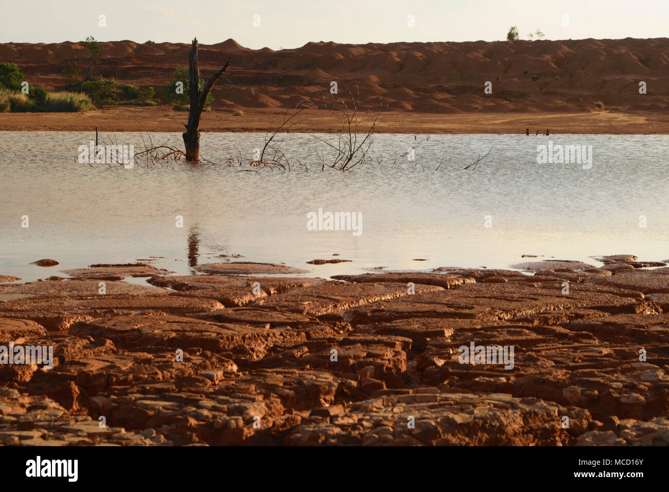 natural pattern, texture, abstract and background in nature Stock Photo ...