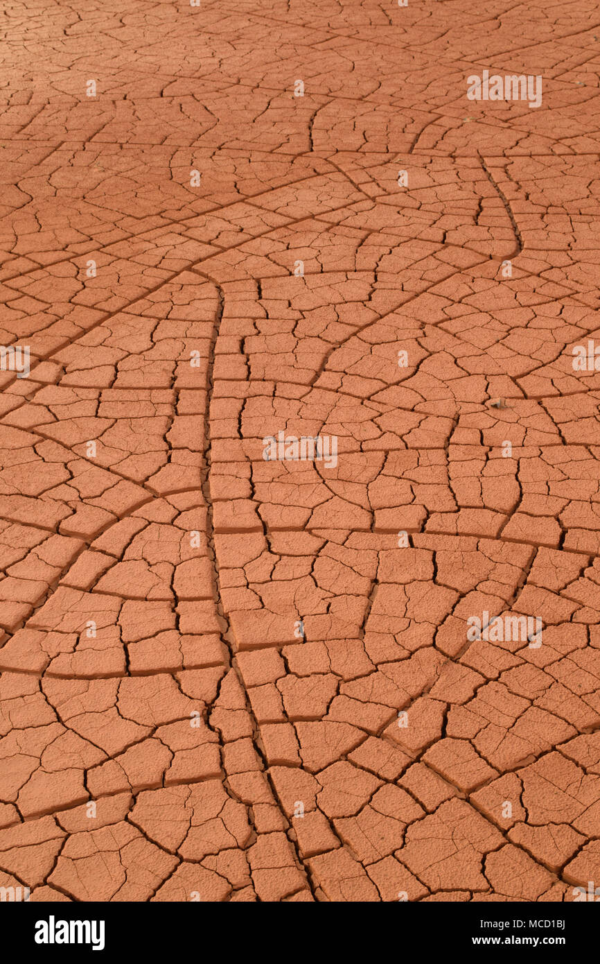 natural pattern, texture, abstract and background in nature Stock Photo ...