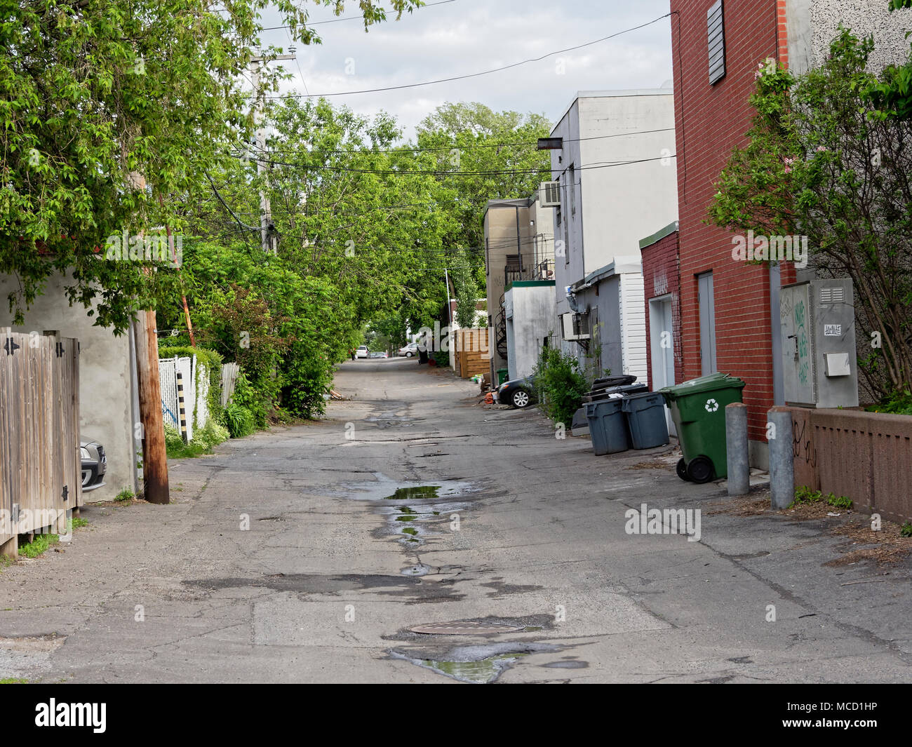 Back alley bins hi-res stock photography and images - Alamy