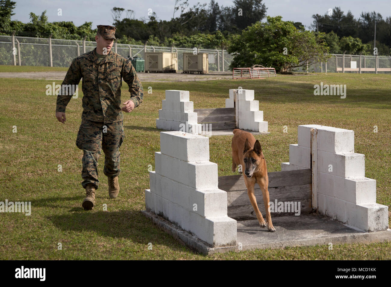 KADENA AIR BASE, OKINAWA, Japan – Lance Cpl. Matthew Yaw and Military ...