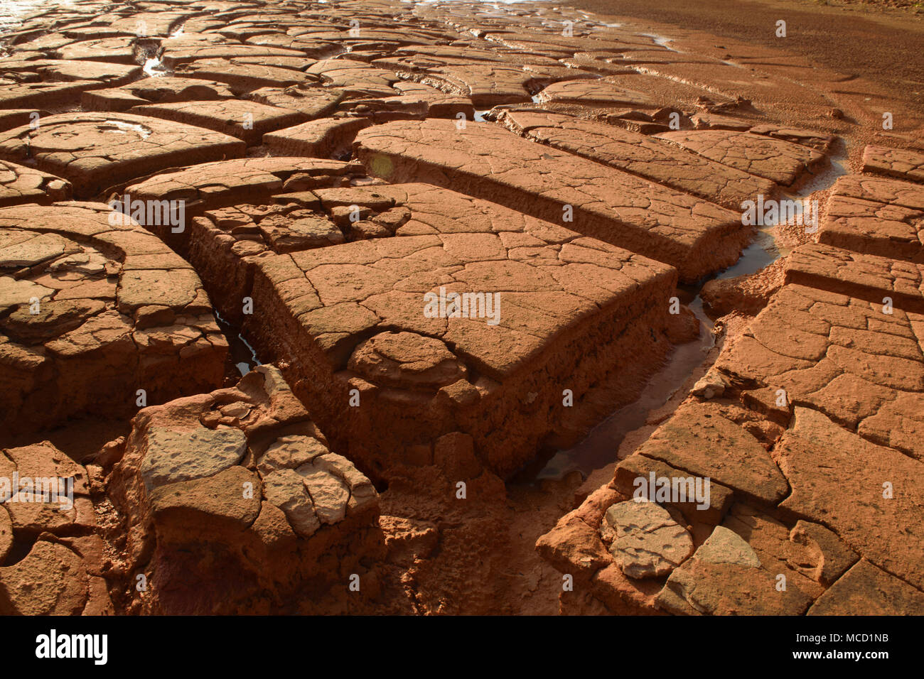 natural pattern, texture, abstract and background in nature Stock Photo ...