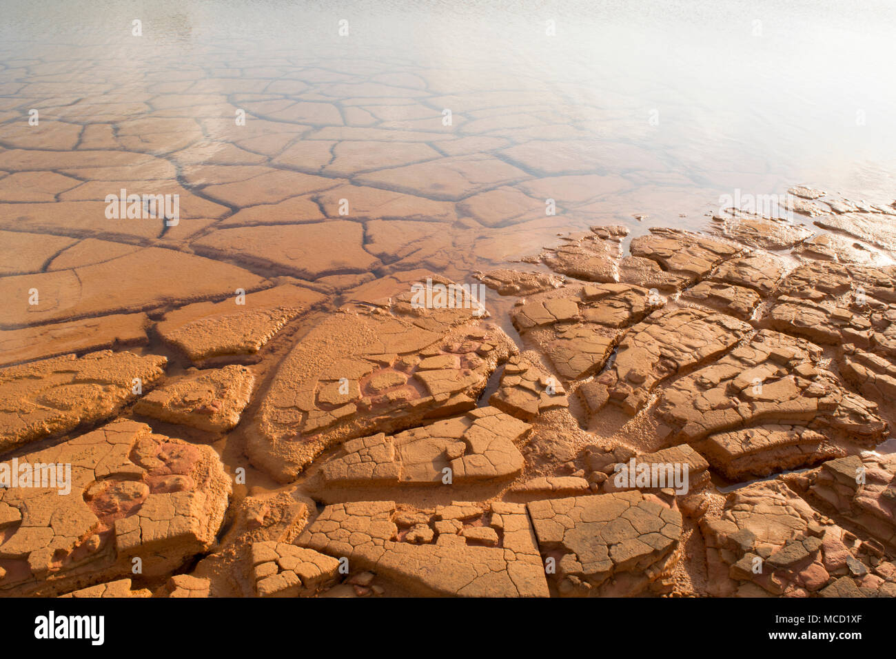 natural pattern, texture, abstract and background in nature Stock Photo ...