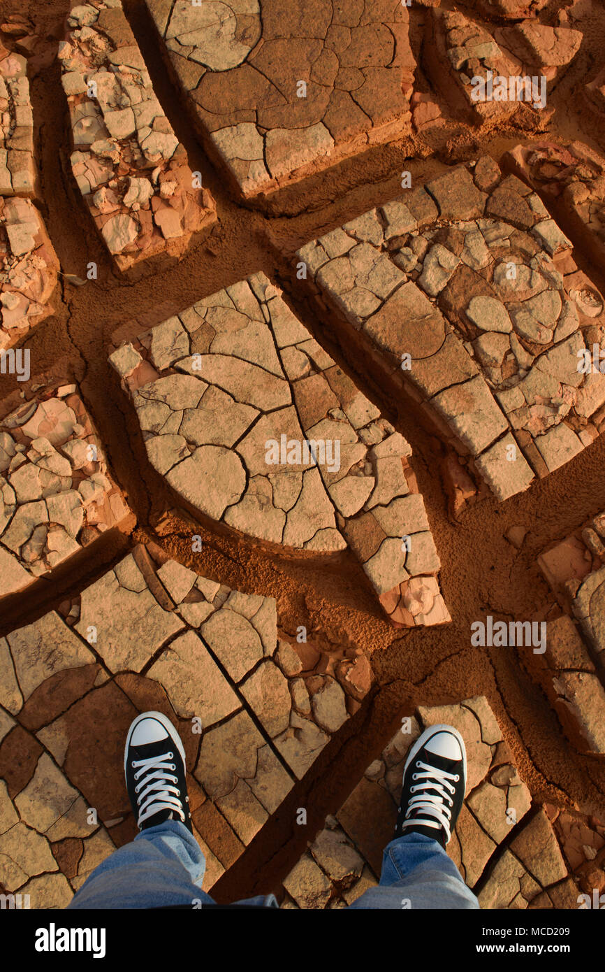 natural pattern, texture, abstract and background in nature Stock Photo ...