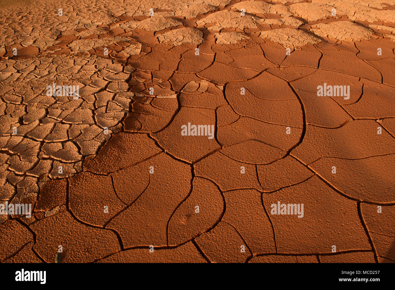 natural pattern, texture, abstract and background in nature Stock Photo ...