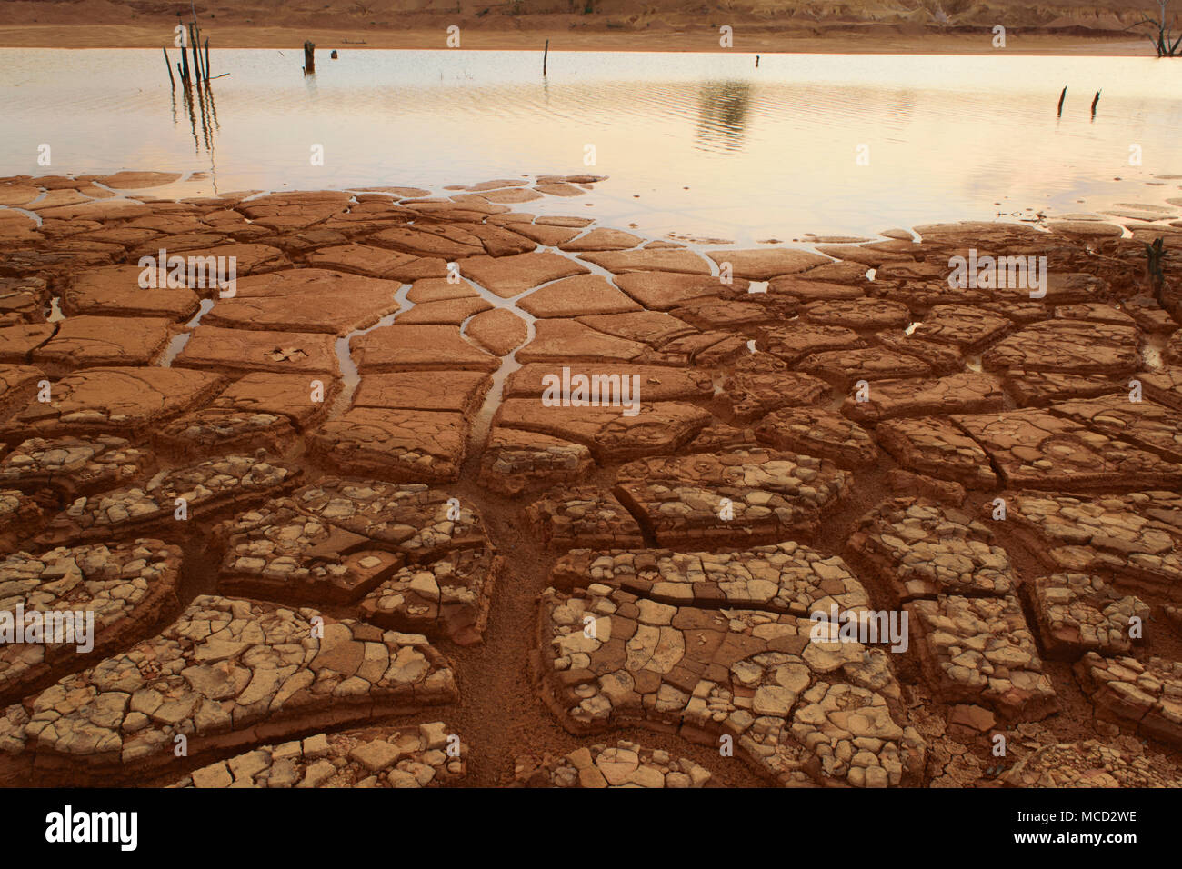 natural pattern, texture, abstract and background in nature Stock Photo ...