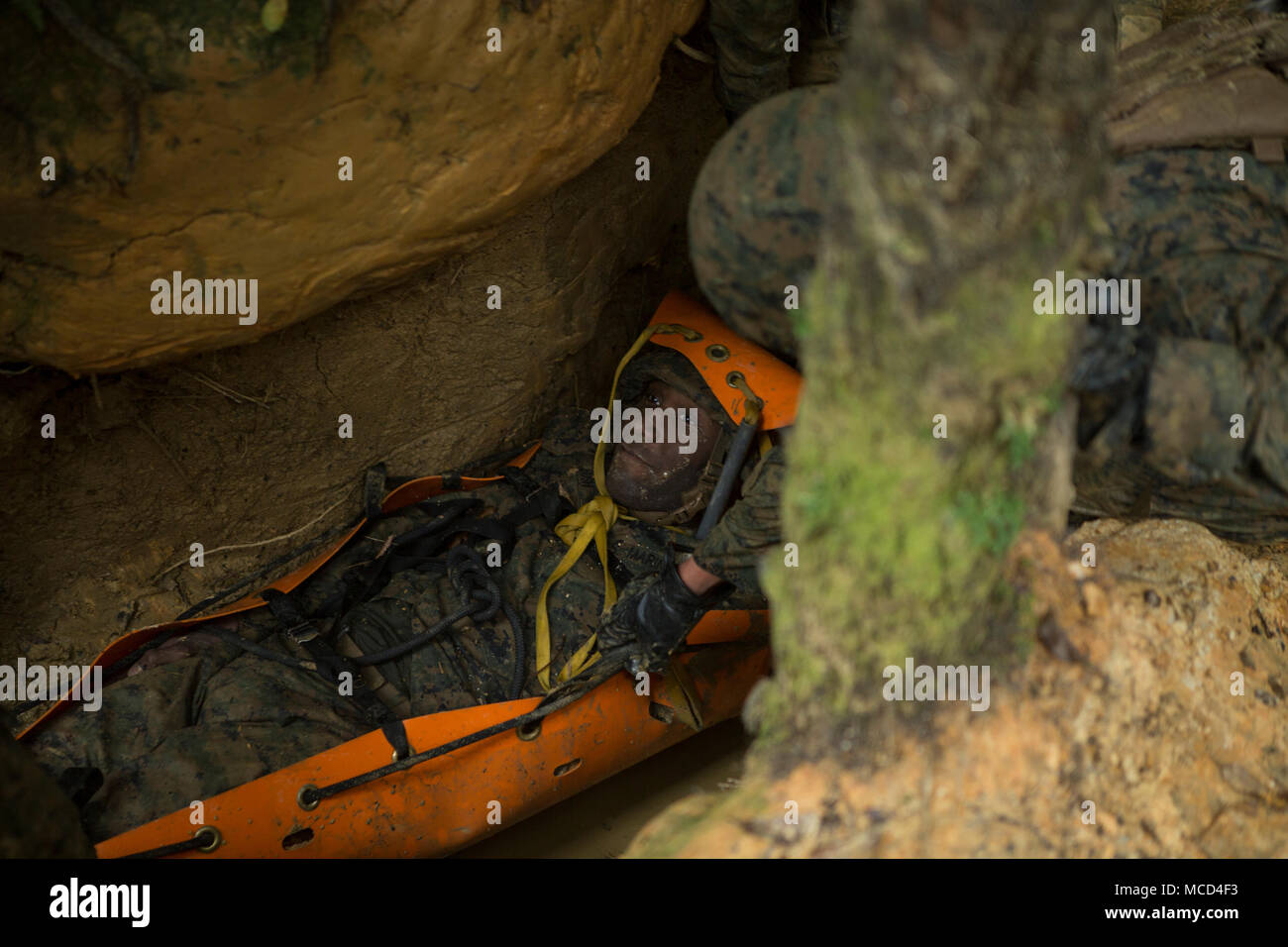 Comm co hi-res stock photography and images - Alamy